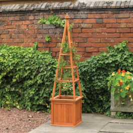 Wooden obelisk planter climber is ideal for growing climbing plants on ...