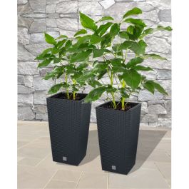 rattan outdoor planters